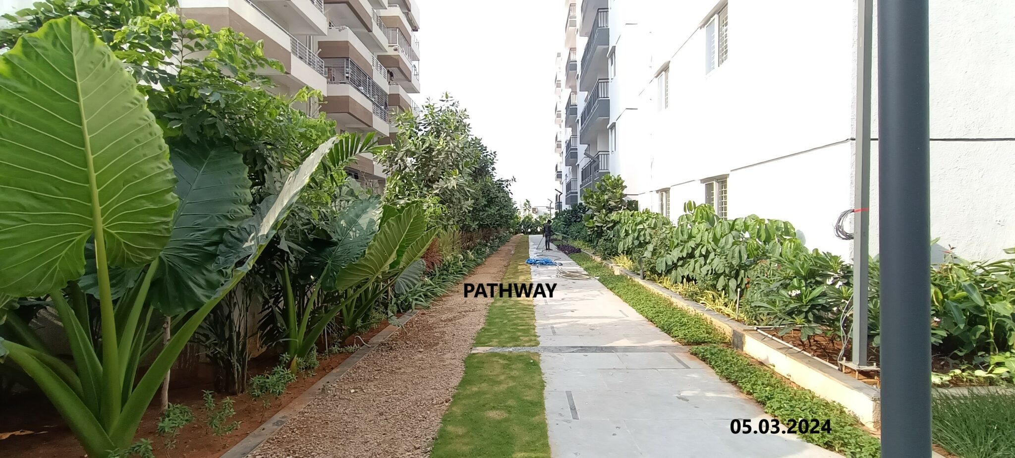 Sapphire – Fortune Green Homes